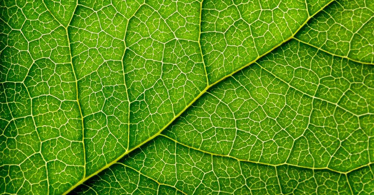 CSR and values – how to move beyond the box-ticking - KISS