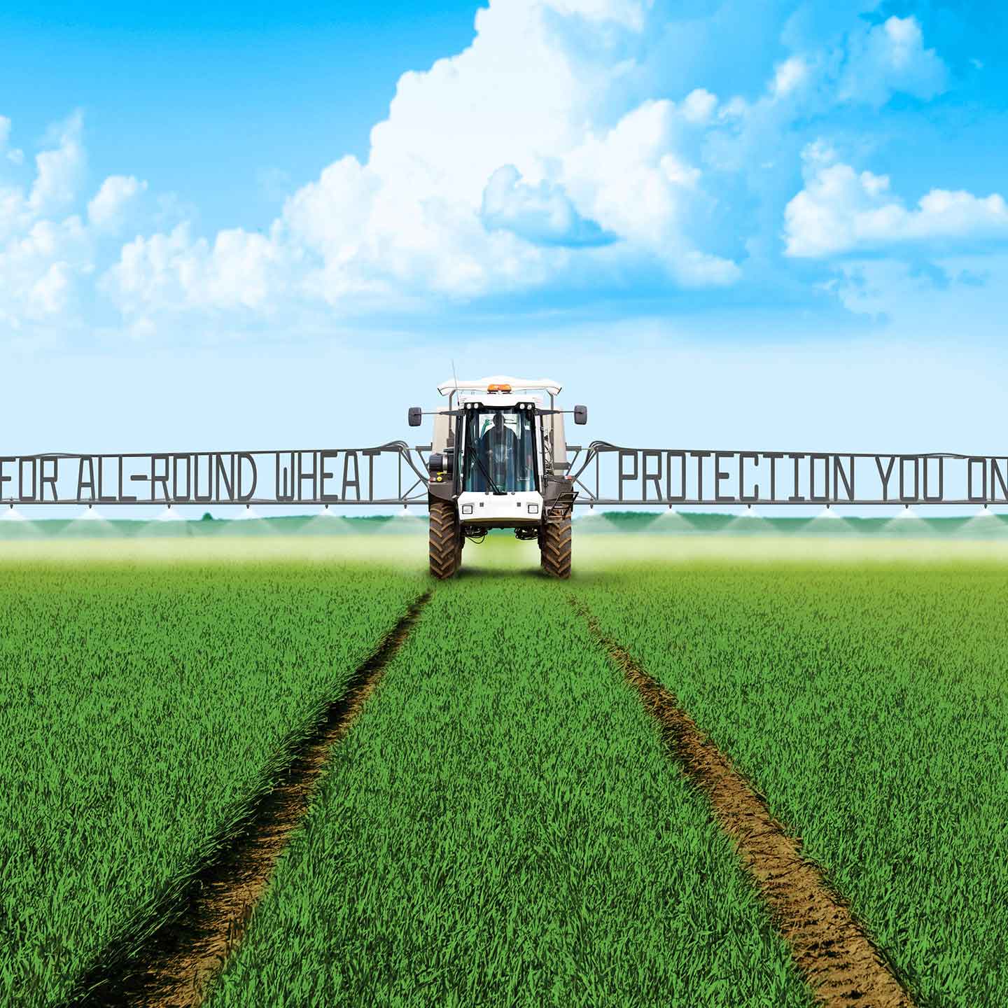 Bayer Crop Science | Bayer - KISS