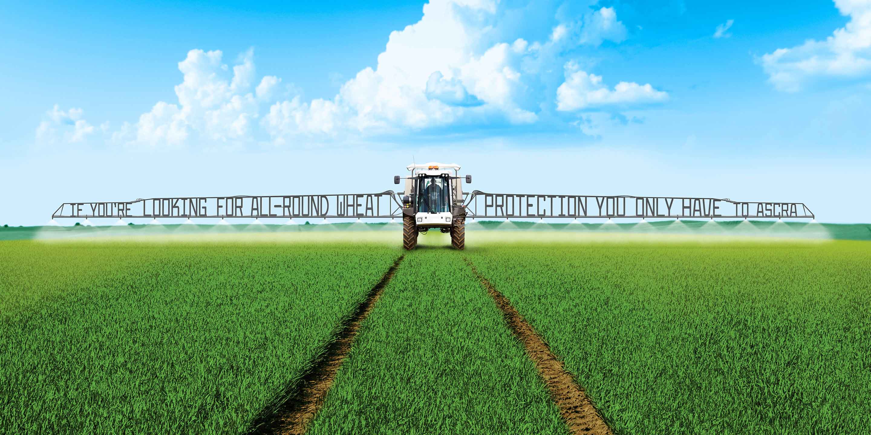 Bayer Crop Science | Bayer - KISS