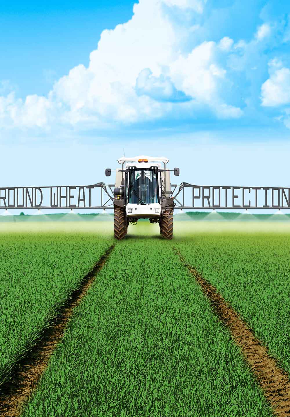 Bayer Crop Science | Bayer - KISS