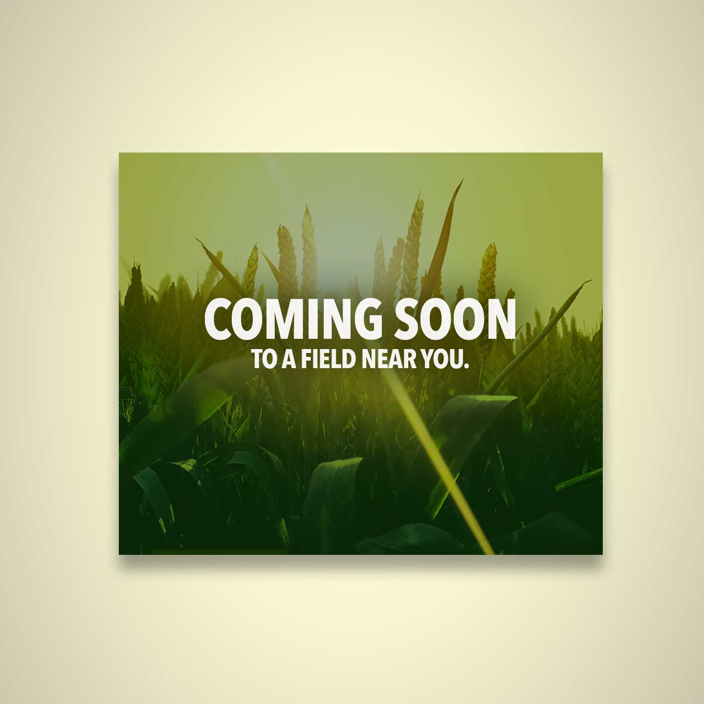 Bayer Crop Science Atlantis Star - KISS