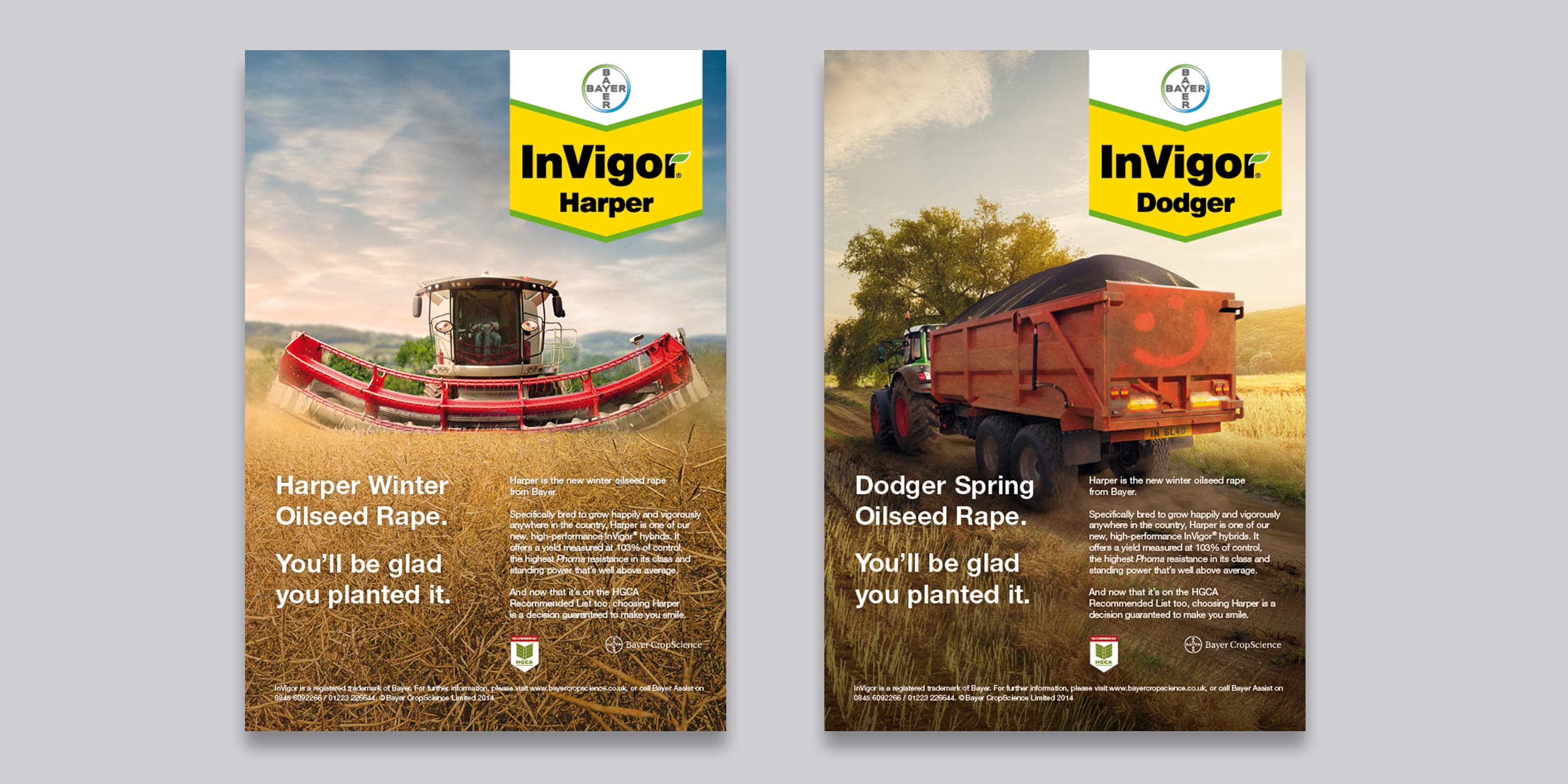 National Advertising Campaign | Bayer - KISS